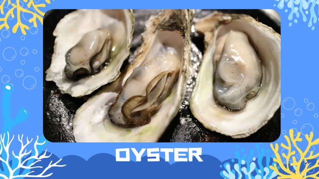 cookery 10-Classification of seafood.pptx | Fish and Aquariums | Pets