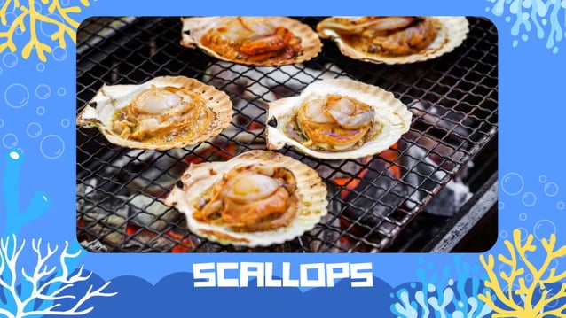 cookery 10-Classification of seafood.pptx | Fish and Aquariums | Pets