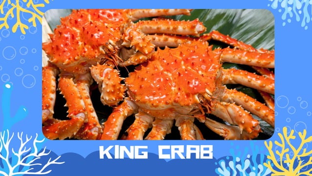 cookery 10-Classification of seafood.pptx | Fish and Aquariums | Pets