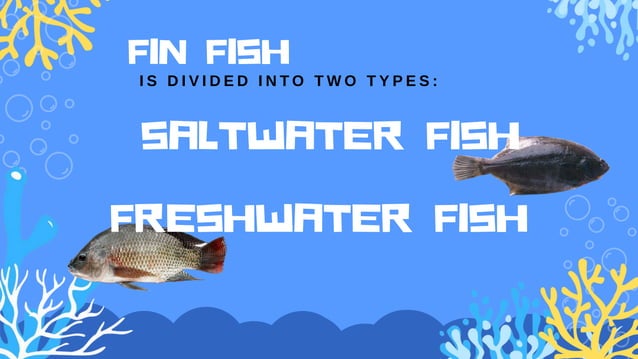 cookery 10-Classification of seafood.pptx | Fish and Aquariums | Pets