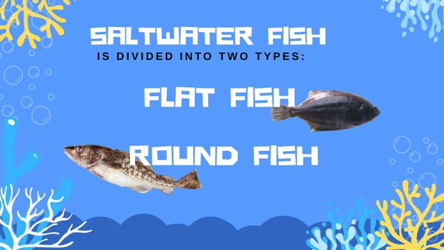 cookery 10-Classification of seafood.pptx | Fish and Aquariums | Pets