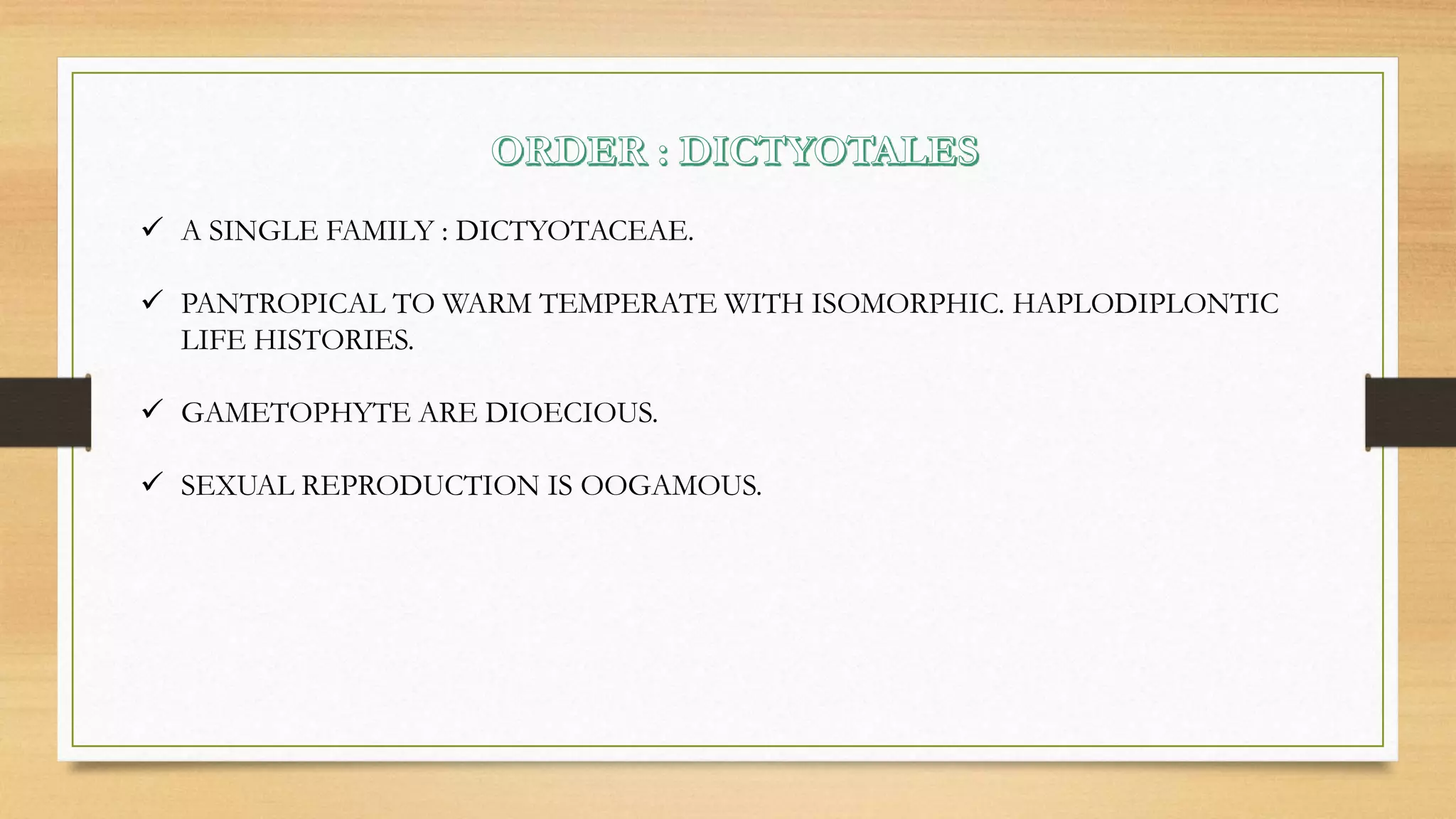 Classification of seaweed | PPTX