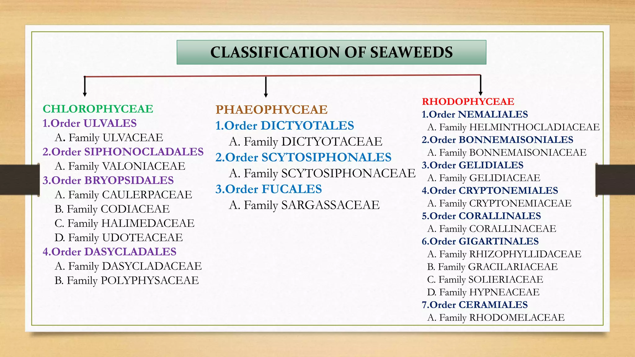 Classification of seaweed | PPTX