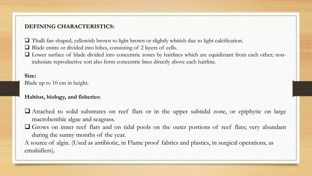 Classification of seaweed | PPTX | Biological Sciences | Science