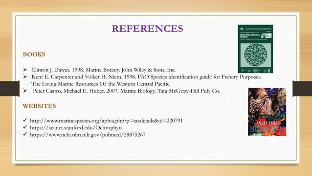 Classification of seaweed | PPTX | Biological Sciences | Science