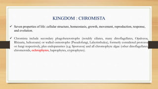 Classification of seaweed | PPTX