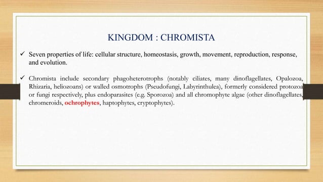 Classification of seaweed | PPTX | Biological Sciences | Science