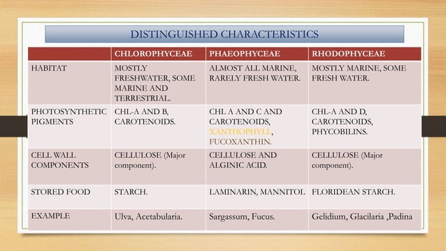 Classification of seaweed | PPTX | Biological Sciences | Science