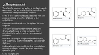 Classification of secondary metabolites and their applications. | PPTX