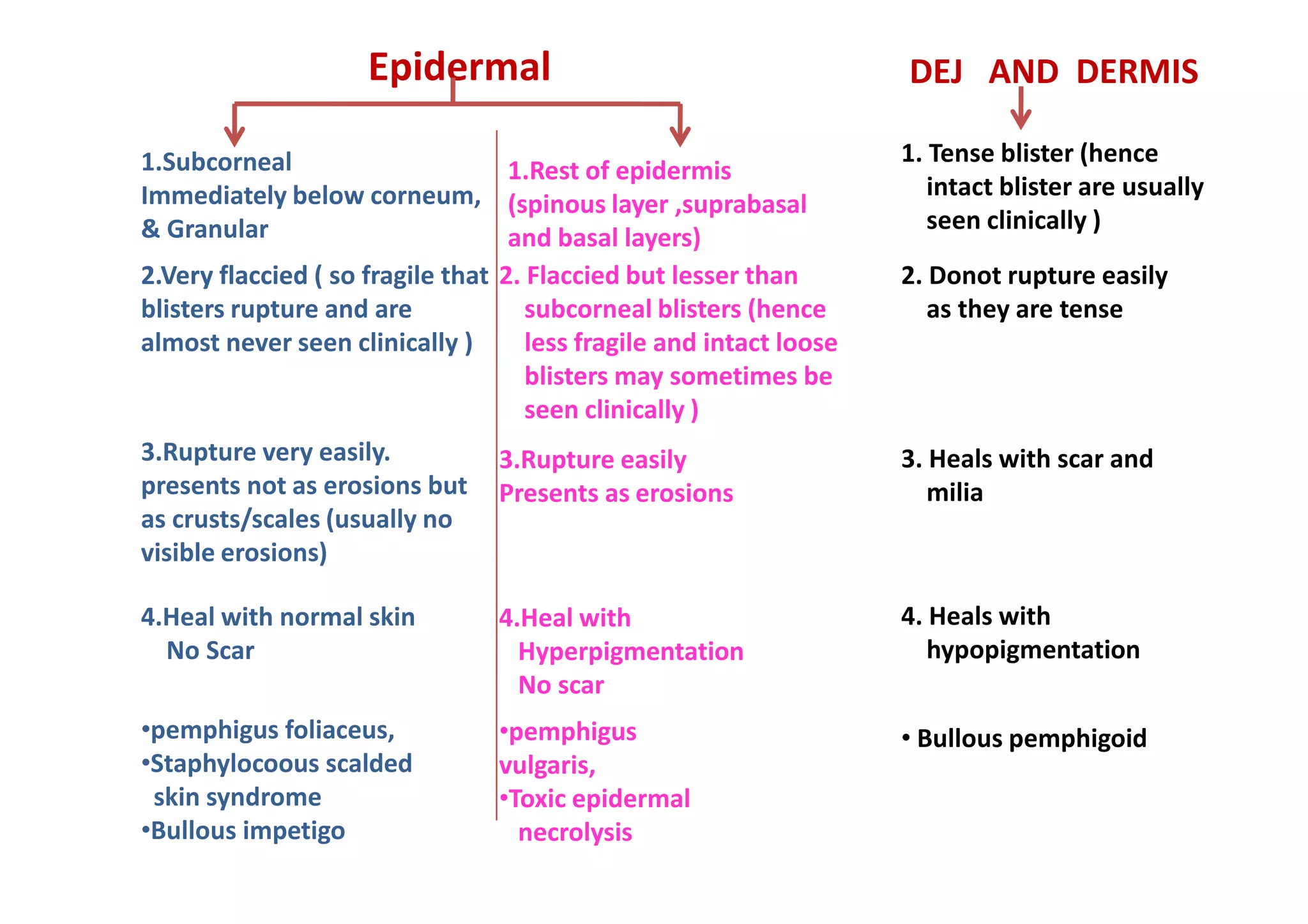 Classification of skin lesions pdf | PDF