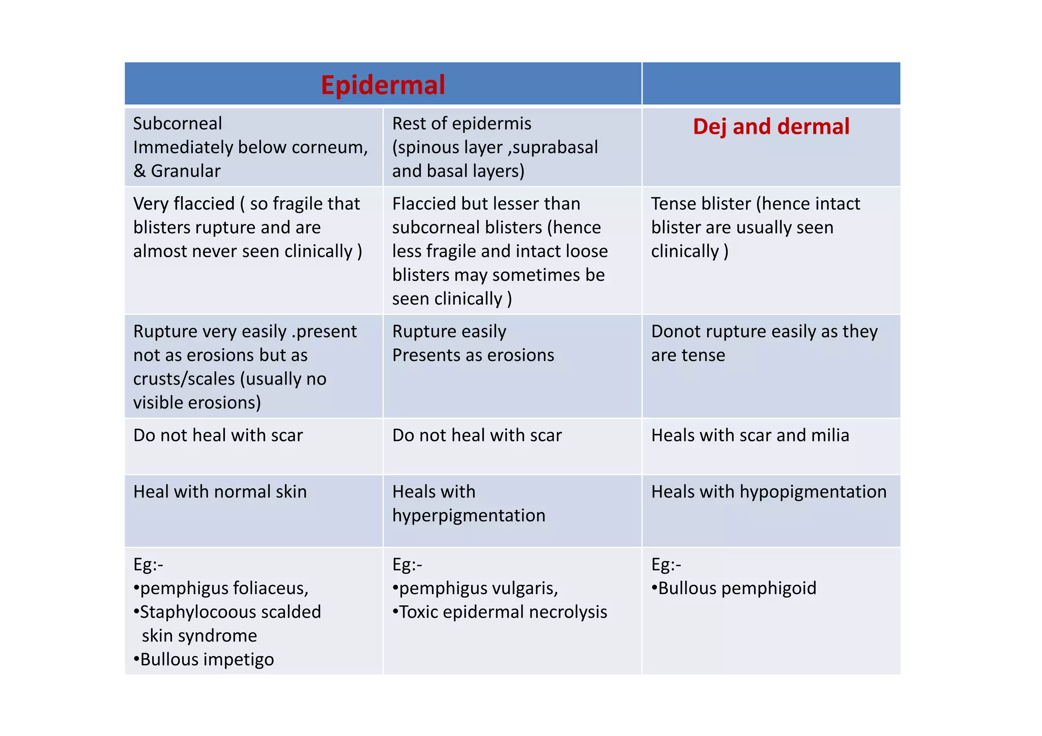 Classification of skin lesions pdf | PDF