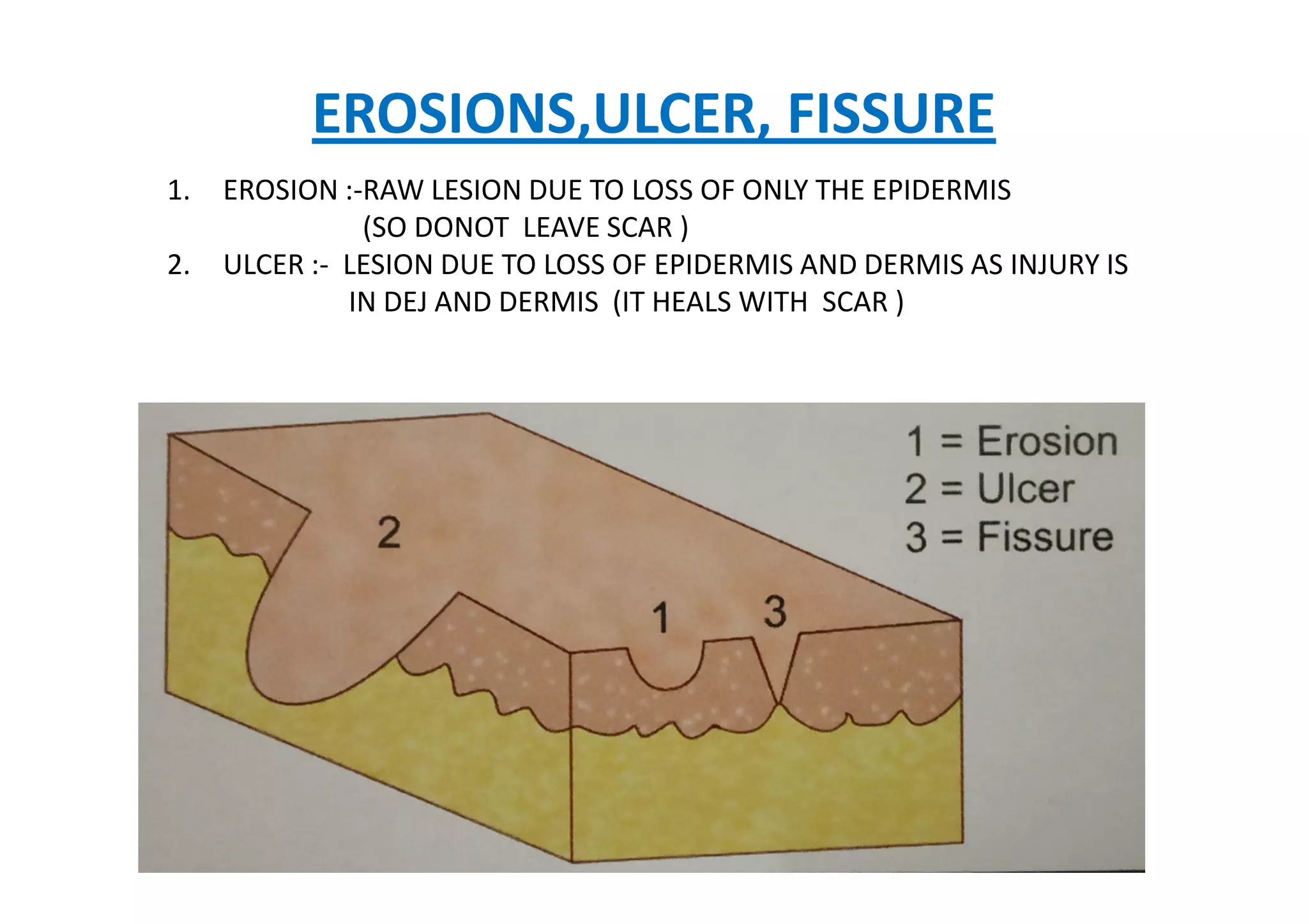 Classification of skin lesions pdf | PDF