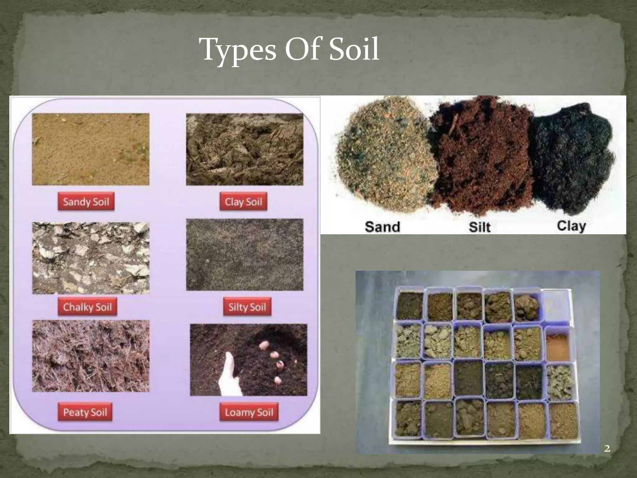 Classification of soil | PPTX