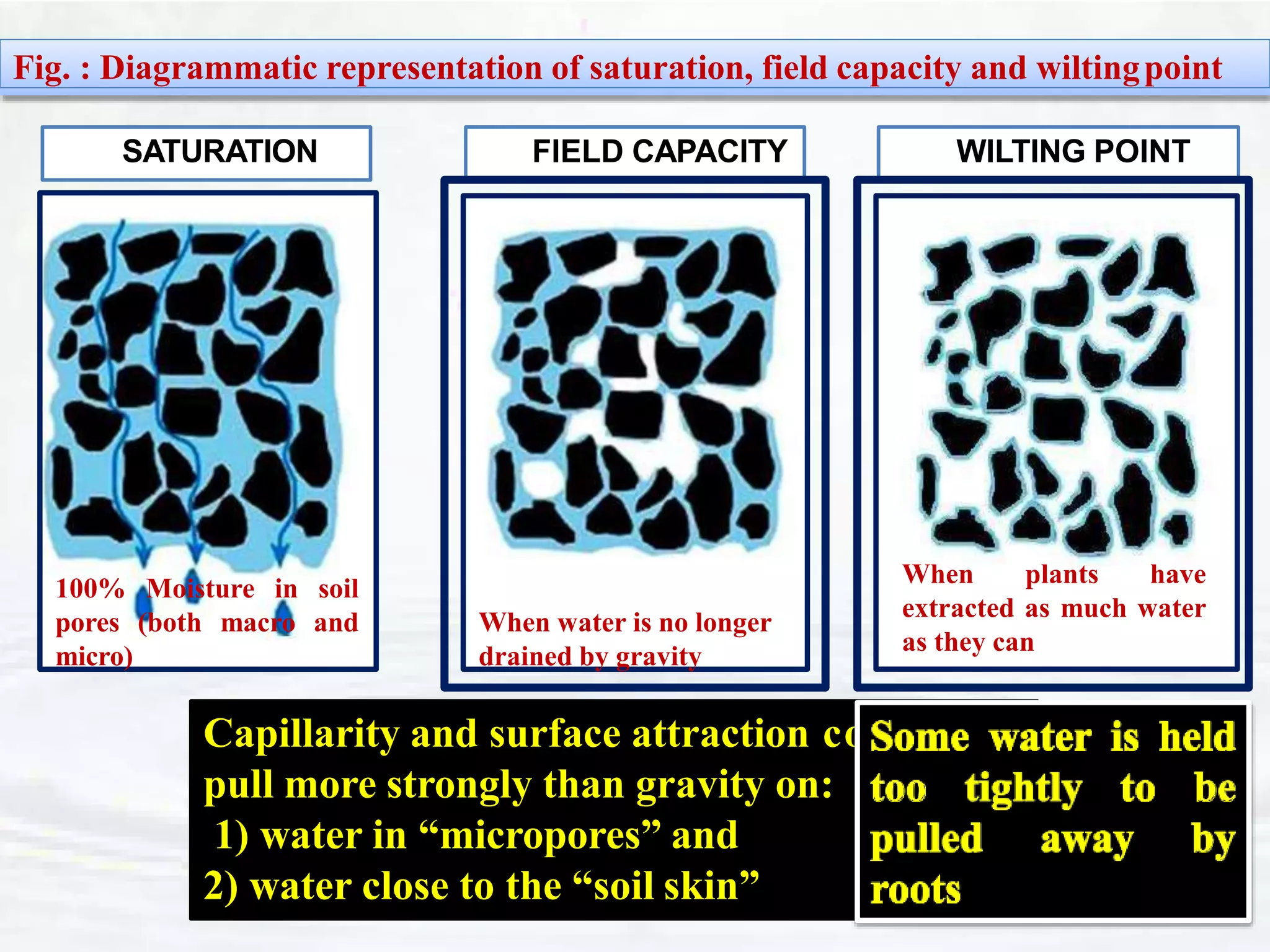 Classification of soil water & soil moisture characteristics curve | PPTX