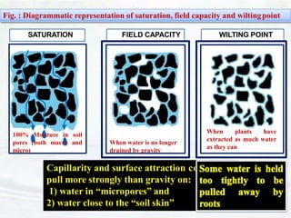 Classification of soil water & soil moisture characteristics curve | PPTX