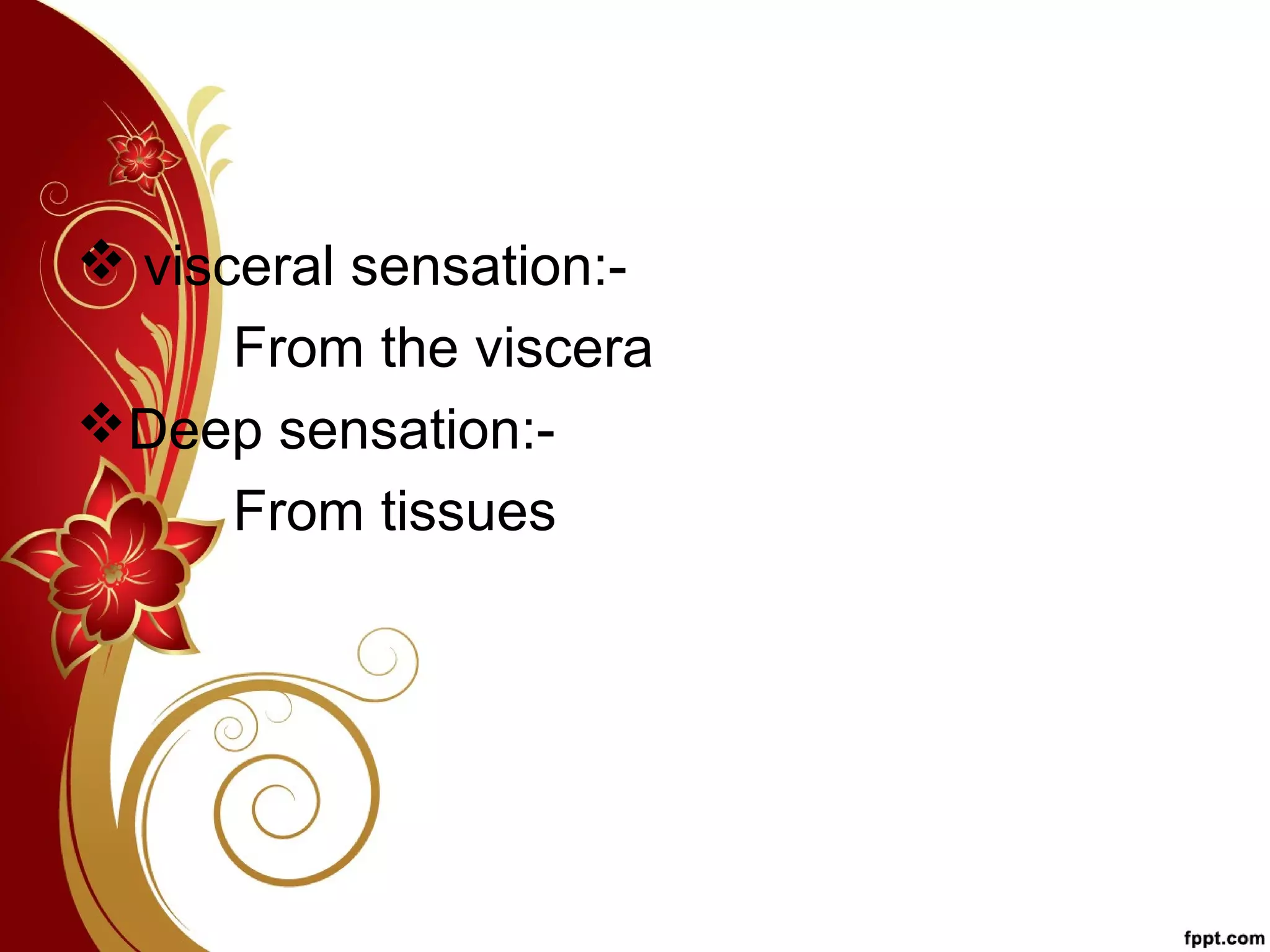 Classification of somatic sensation | PPT