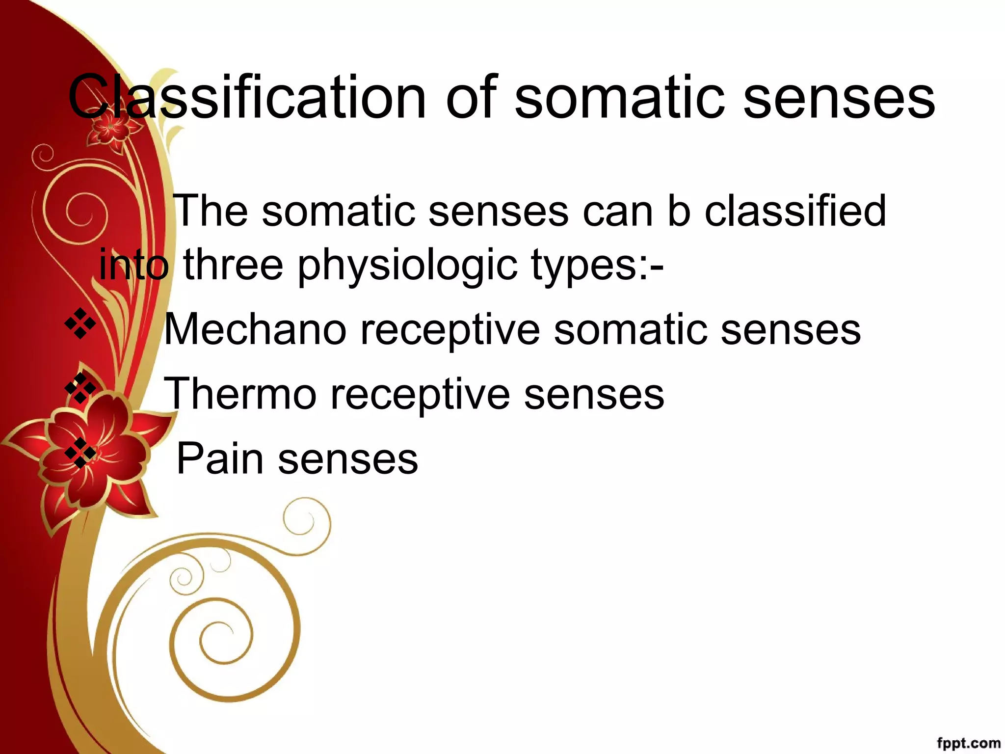 Classification of somatic sensation | PPT