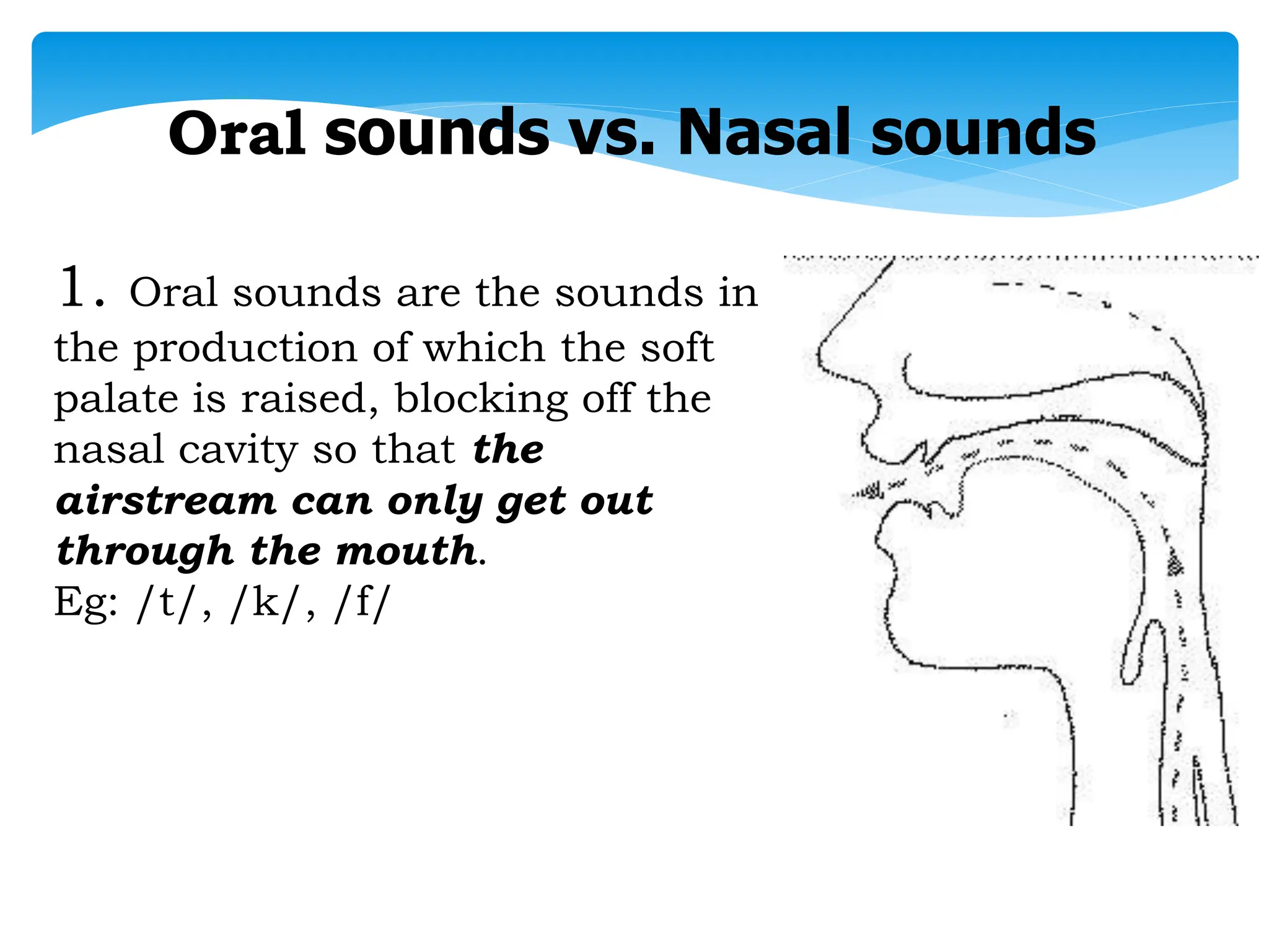 Classification of speech sounds.pptx