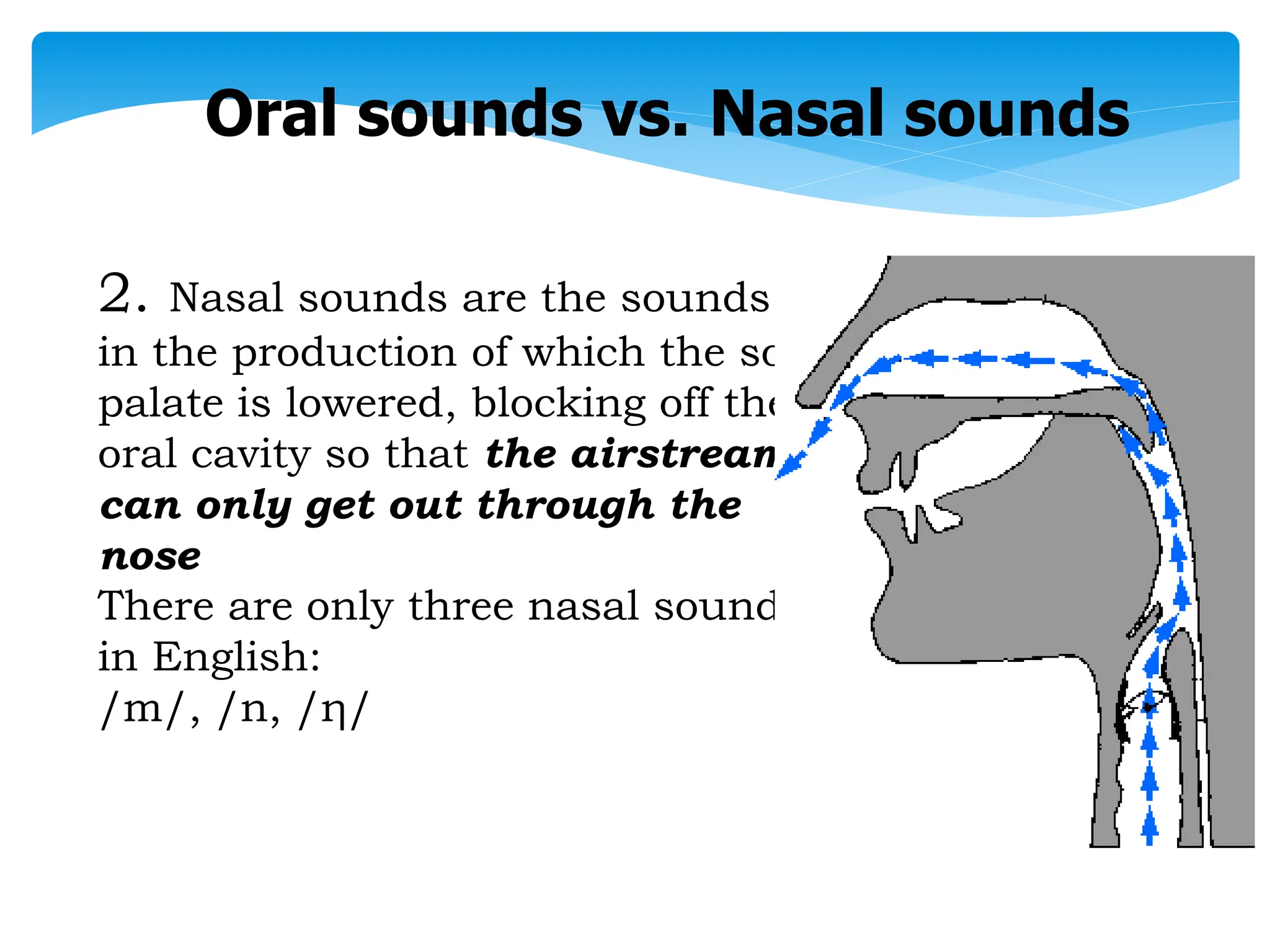 Classification of speech sounds.pptx