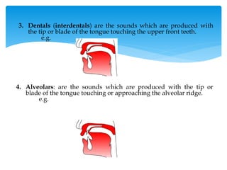 Classification of speech sounds.pptx