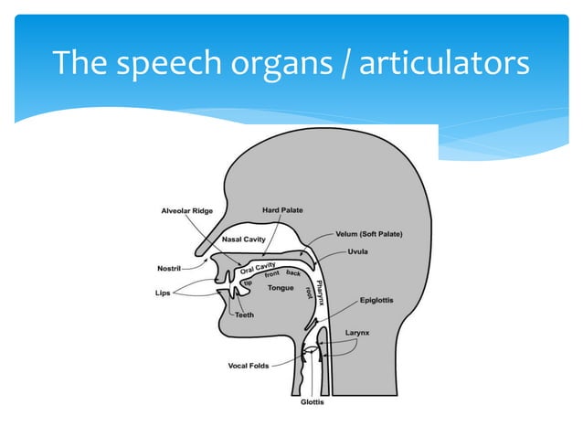 Classification of speech sounds.pptx