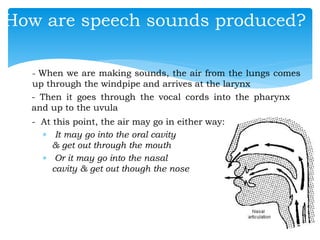 Classification of speech sounds.pptx