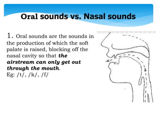Classification of speech sounds.pptx