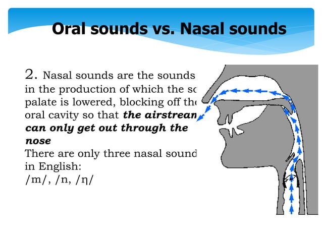 Classification of speech sounds.pptx