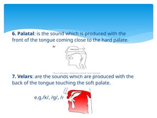 classificationofspeechsounds.pptx presentation | PPTX