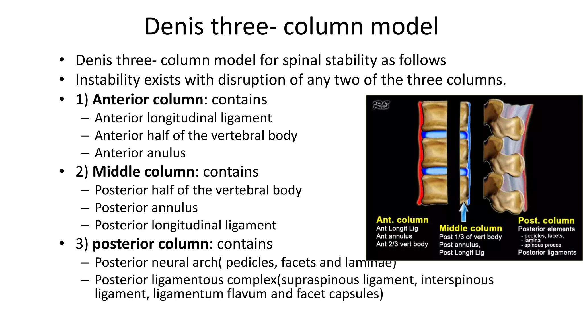 Classification of spinal fracture | PPTX
