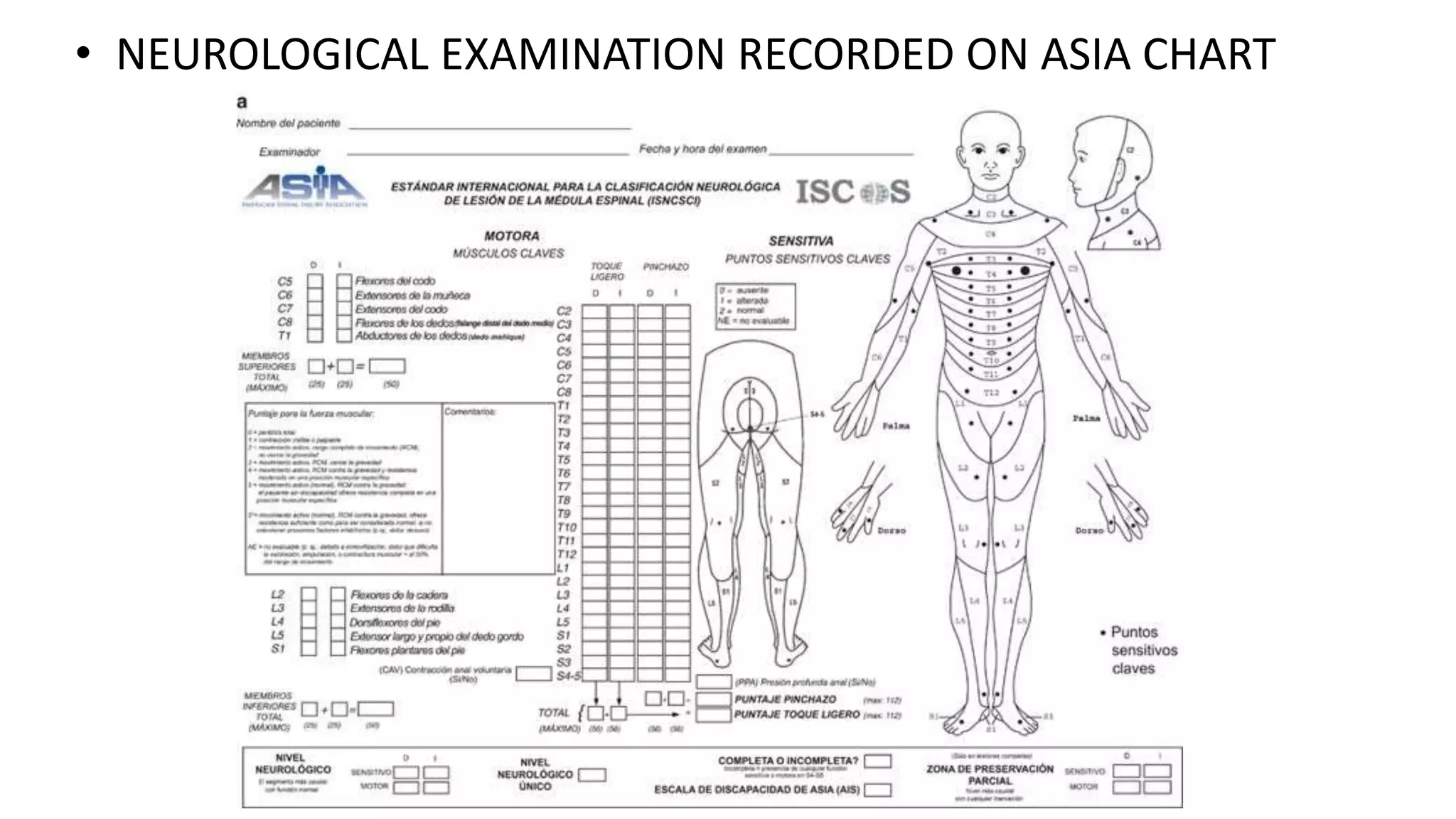 Classification of spinal fracture | PPTX
