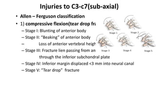 Classification of spinal fracture | PPTX