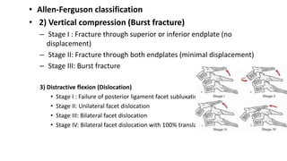 Classification of spinal fracture | PPTX