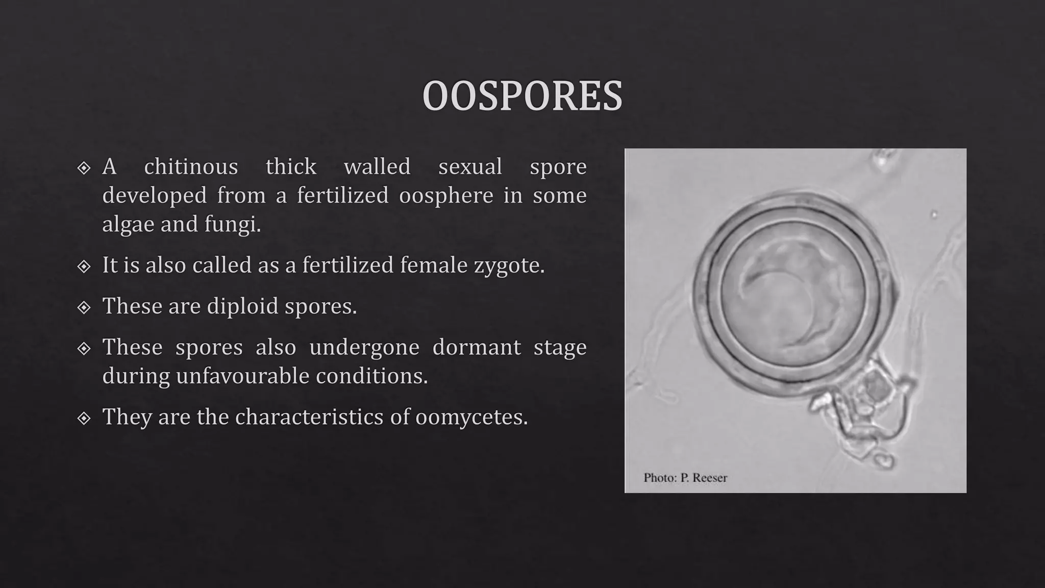 Difference between Spore, Gamete and Seed and the Classification of ...