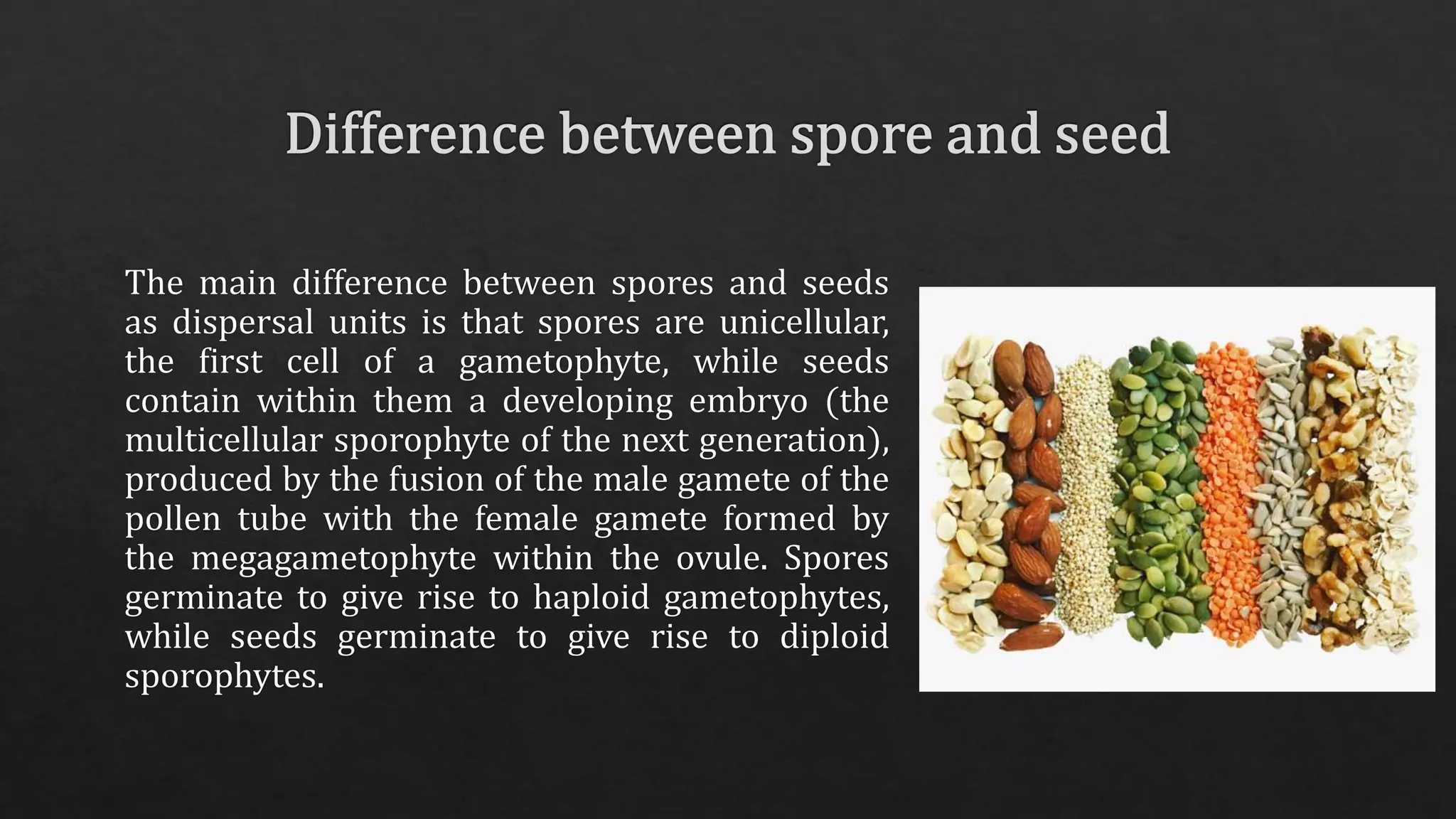 Difference between Spore, Gamete and Seed and the Classification of ...