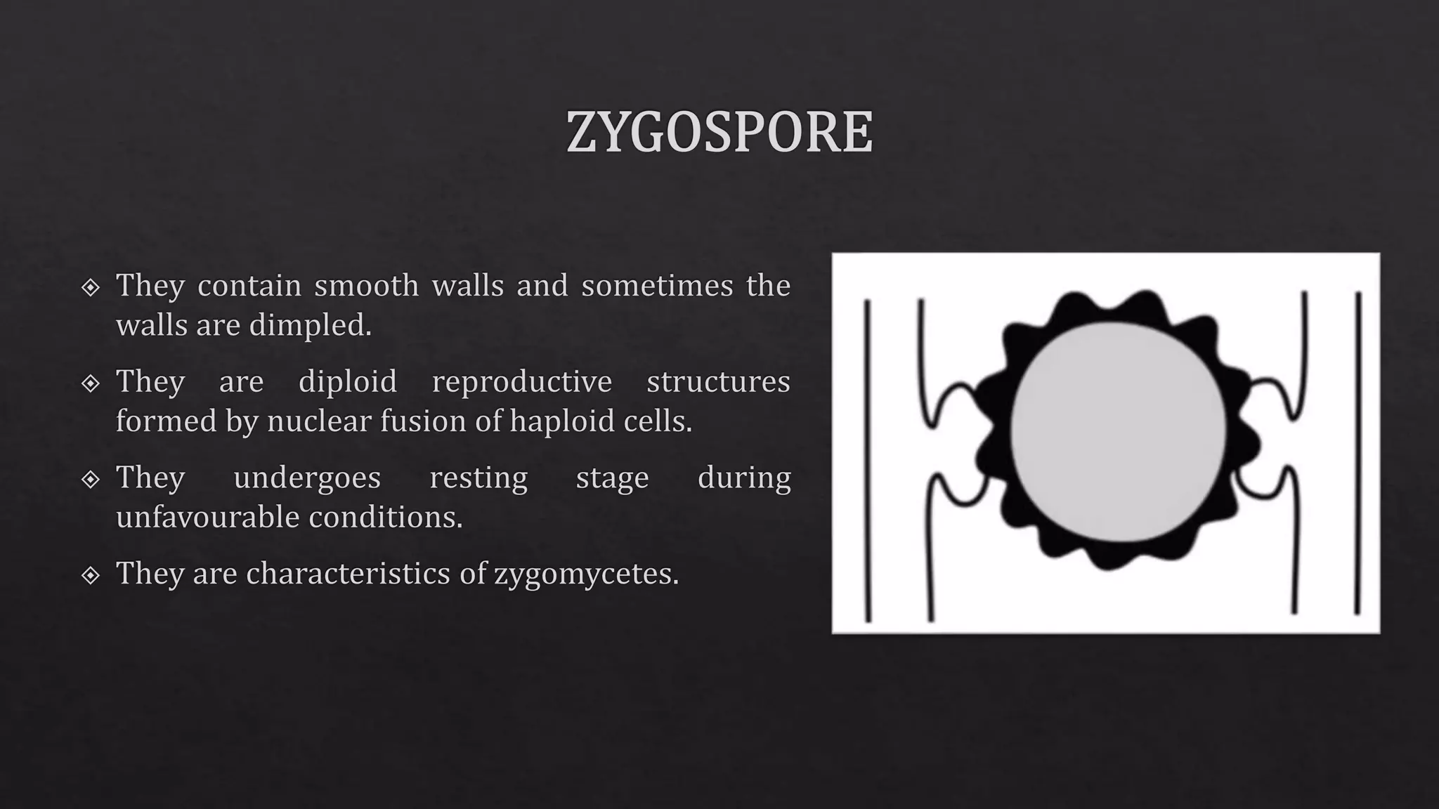 Difference between Spore, Gamete and Seed and the Classification of ...