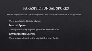 Difference between Spore, Gamete and Seed and the Classification of ...