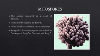 Difference between Spore, Gamete and Seed and the Classification of ...