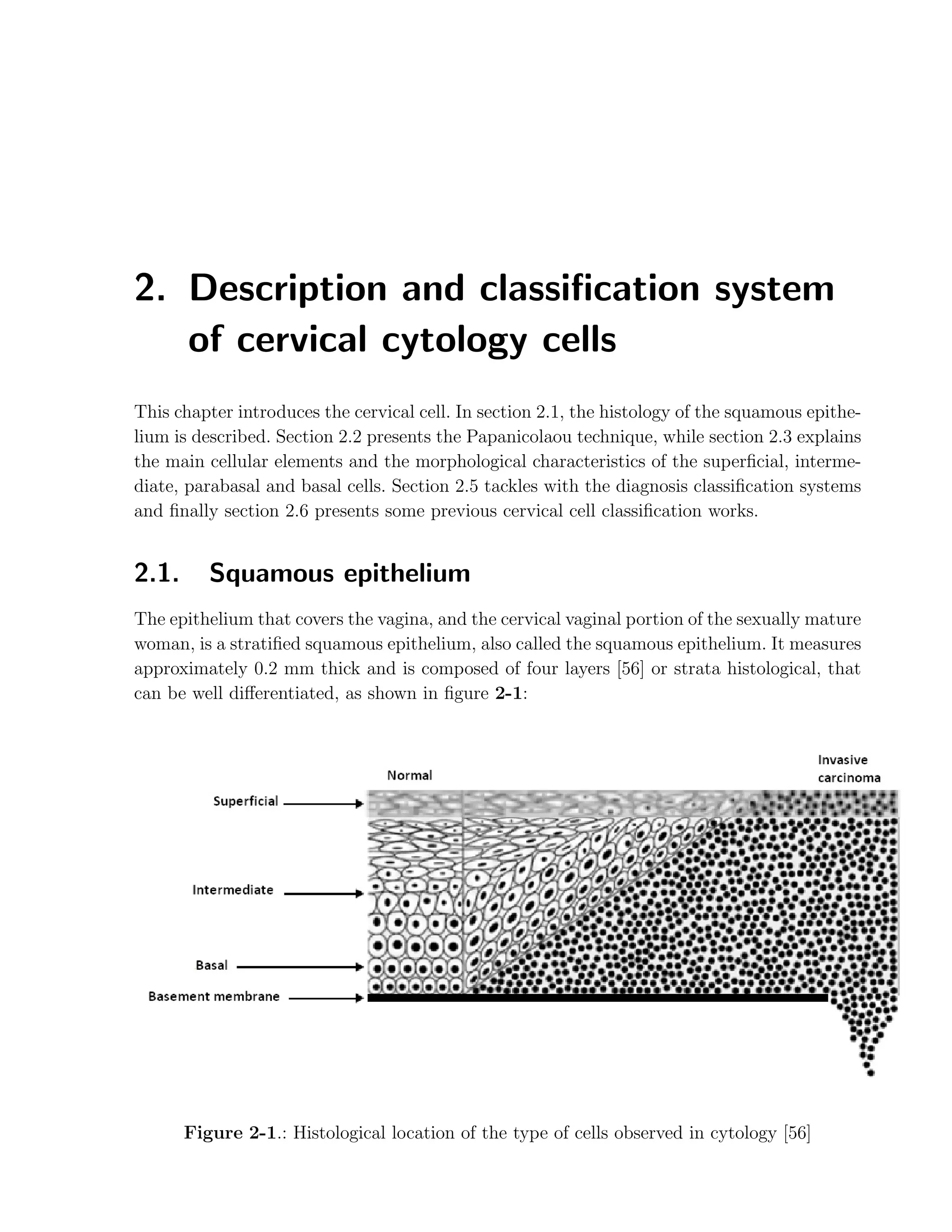 Classification of squamous cell cervical cytology | PDF