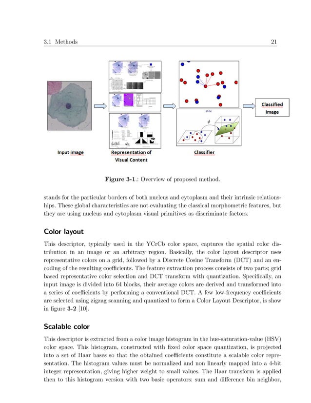 Classification of squamous cell cervical cytology | PDF