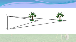 Classification Of Surveying. types of survey | PPTX
