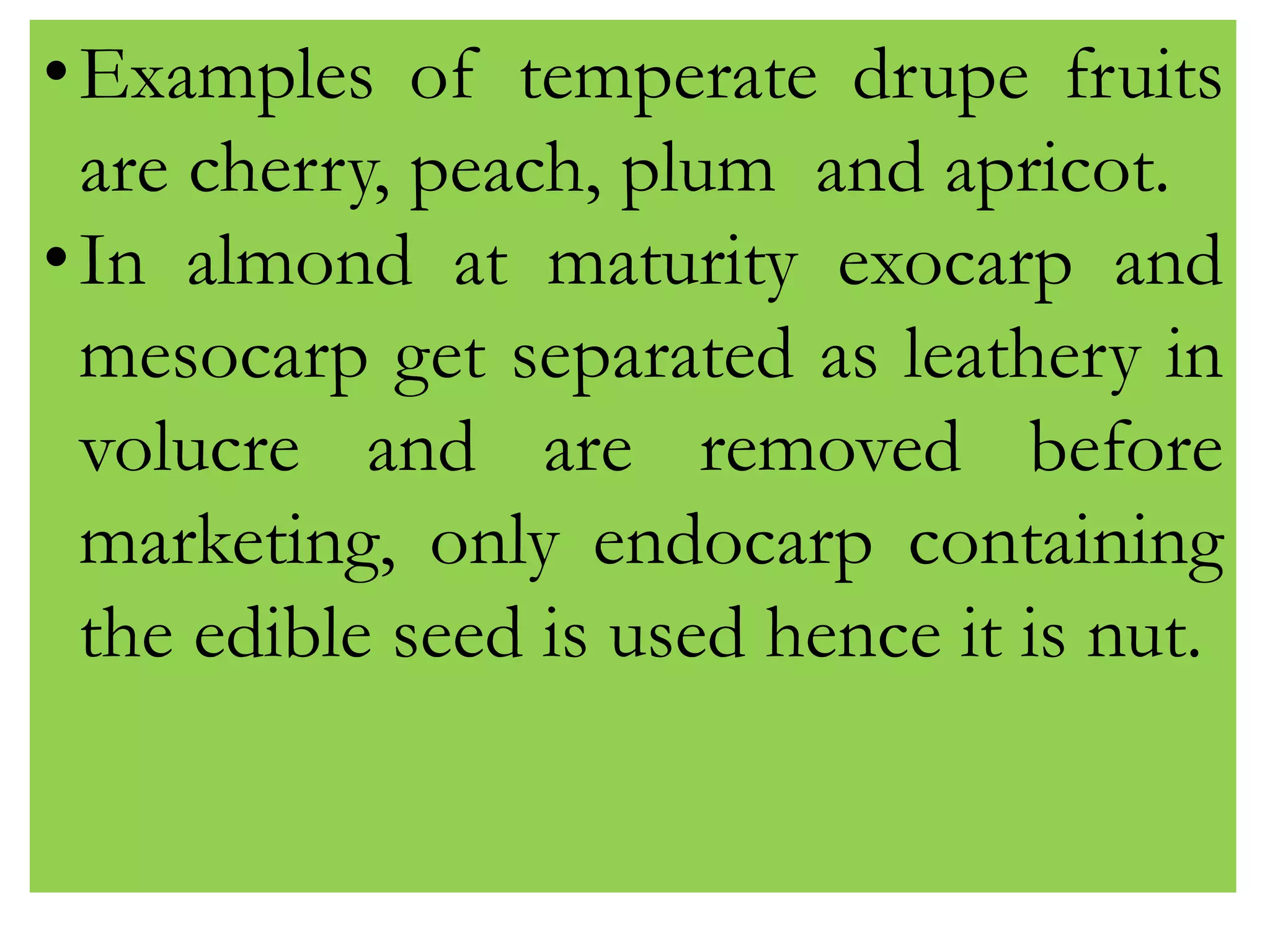 Classification of temperature fruits | PPT