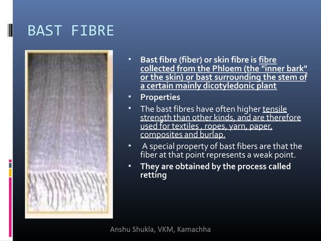 Classification of textile fibers | PPTX | Needlework | Arts and Crafts
