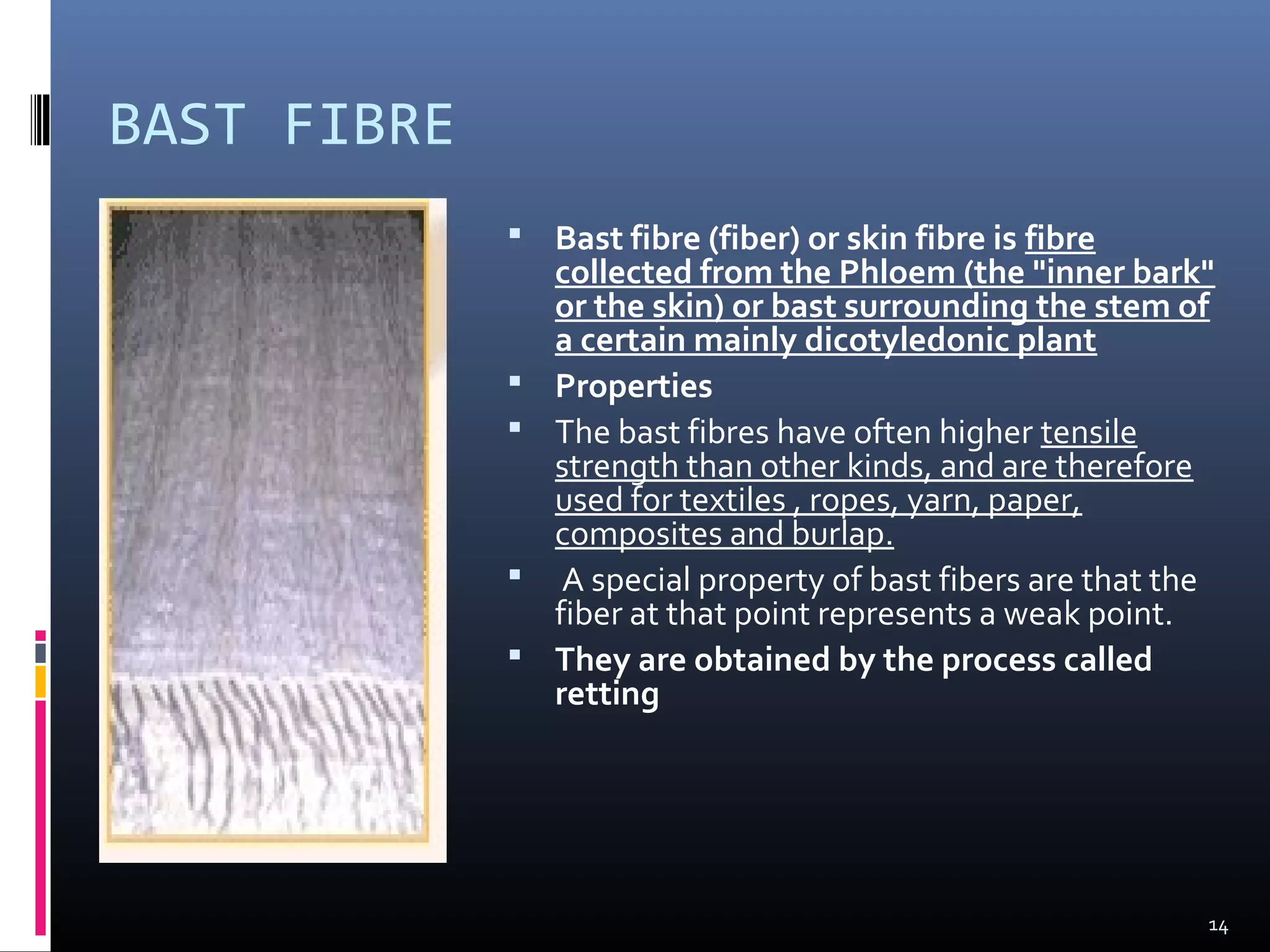 Classification Of Textile Fibers | PPT