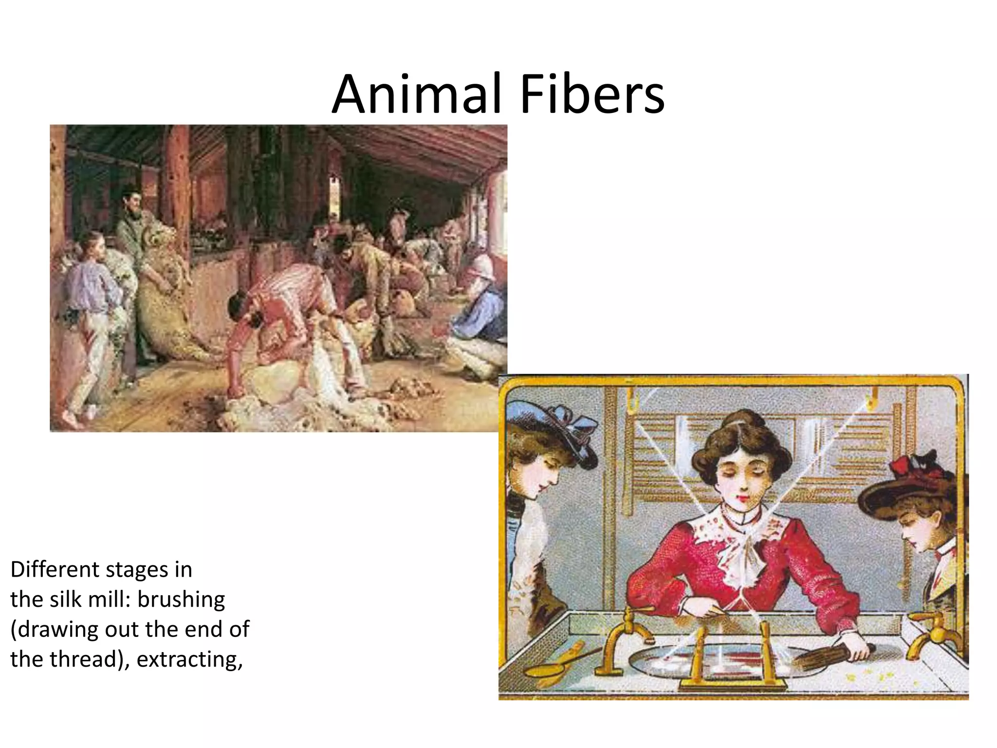 Classification of textiles | PPTX