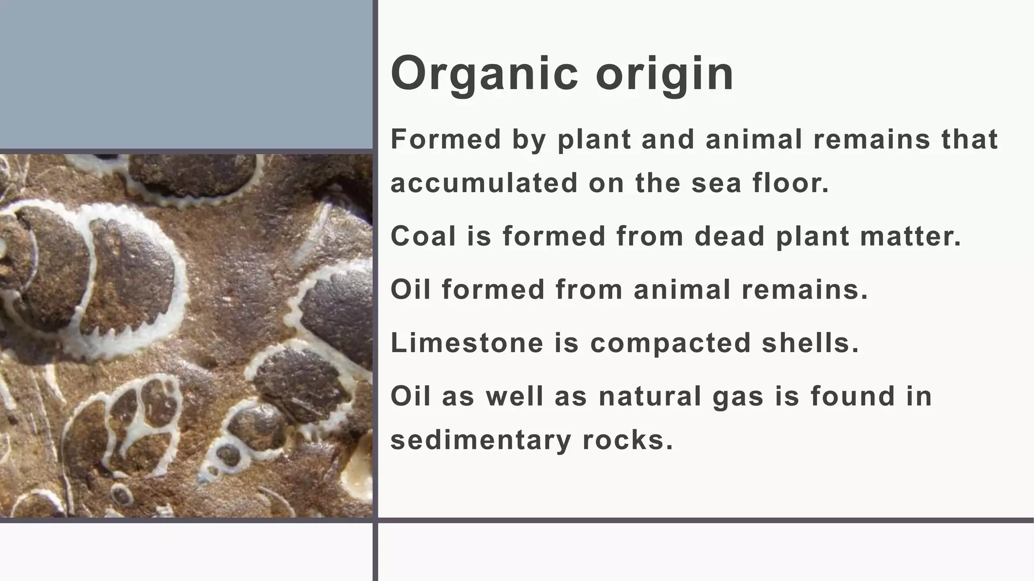 The different types of rocks | PPTX