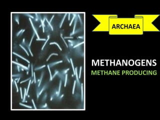 Classification of the living things | PPTX | Reptiles | Pets