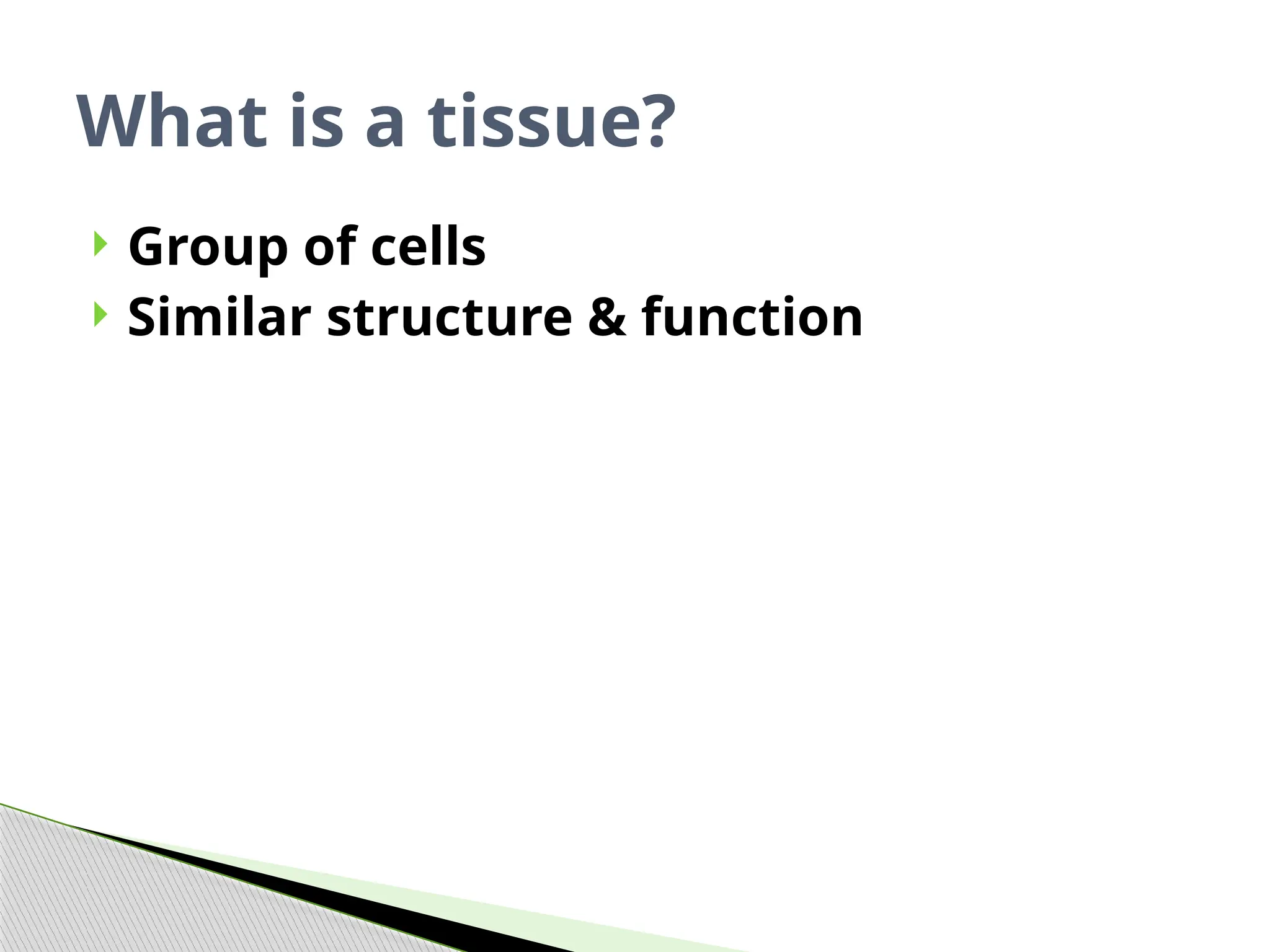 Classification of Animal Tissues including Connective, Epithelial ...