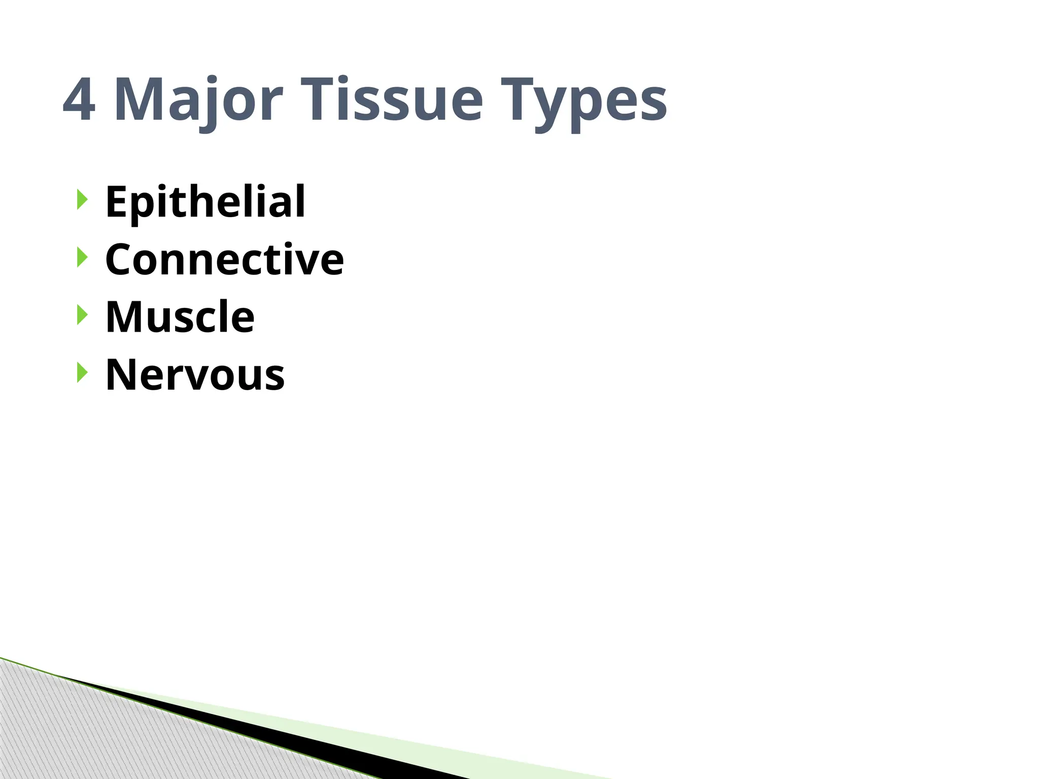 Classification of Animal Tissues including Connective, Epithelial ...