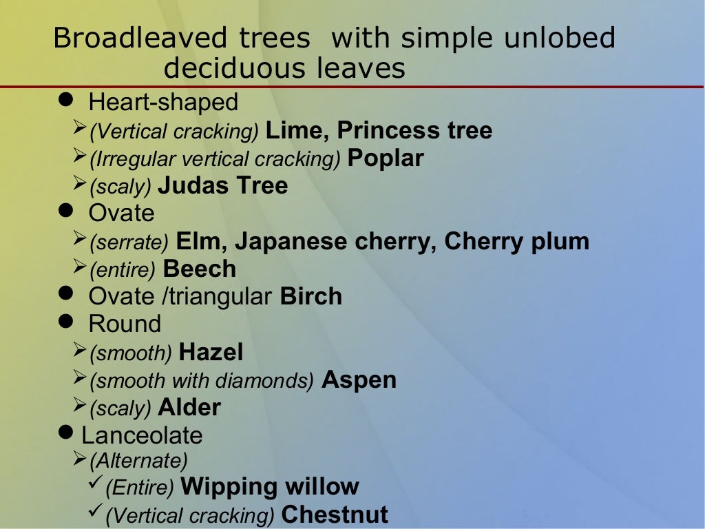 Classification of trees